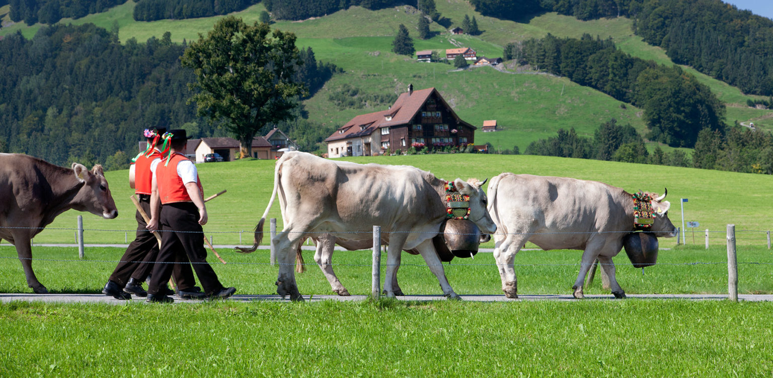 Spieglein, Spieglein … wer ist die Schönste im ganzen Land? – Thomas ...